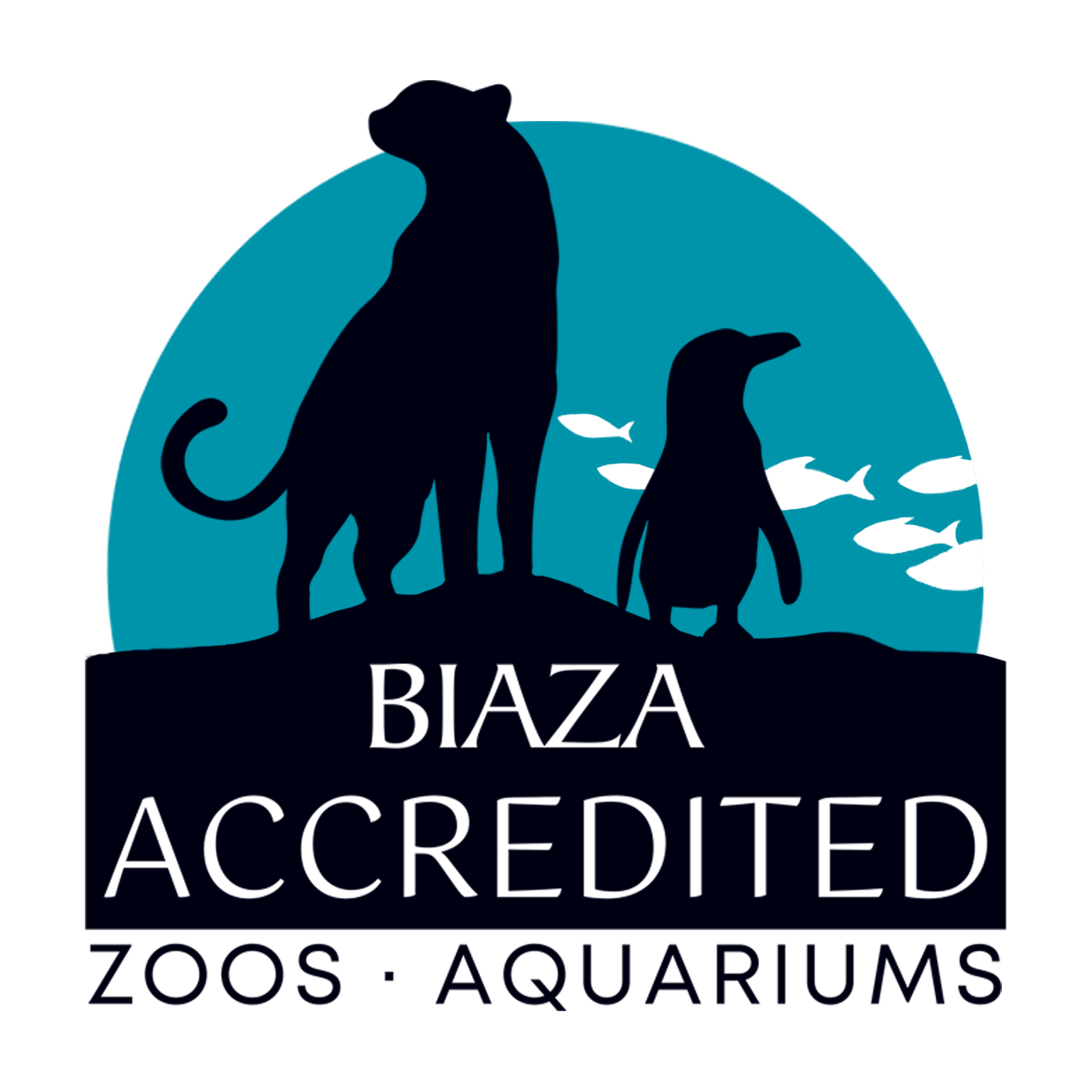 Webinar: Supporting you through BIAZA Accreditation | BIAZA
