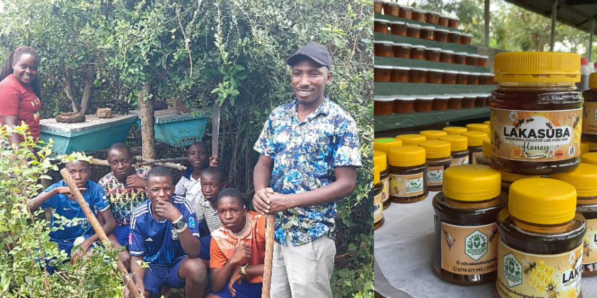 Supporting Uganda's precious wildlife with Wild Discovery’s Bee Project ...