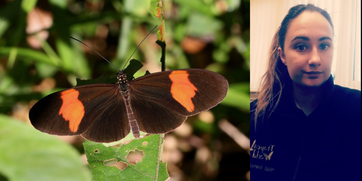 Blog: Wildflower Meadows Project | BIAZA