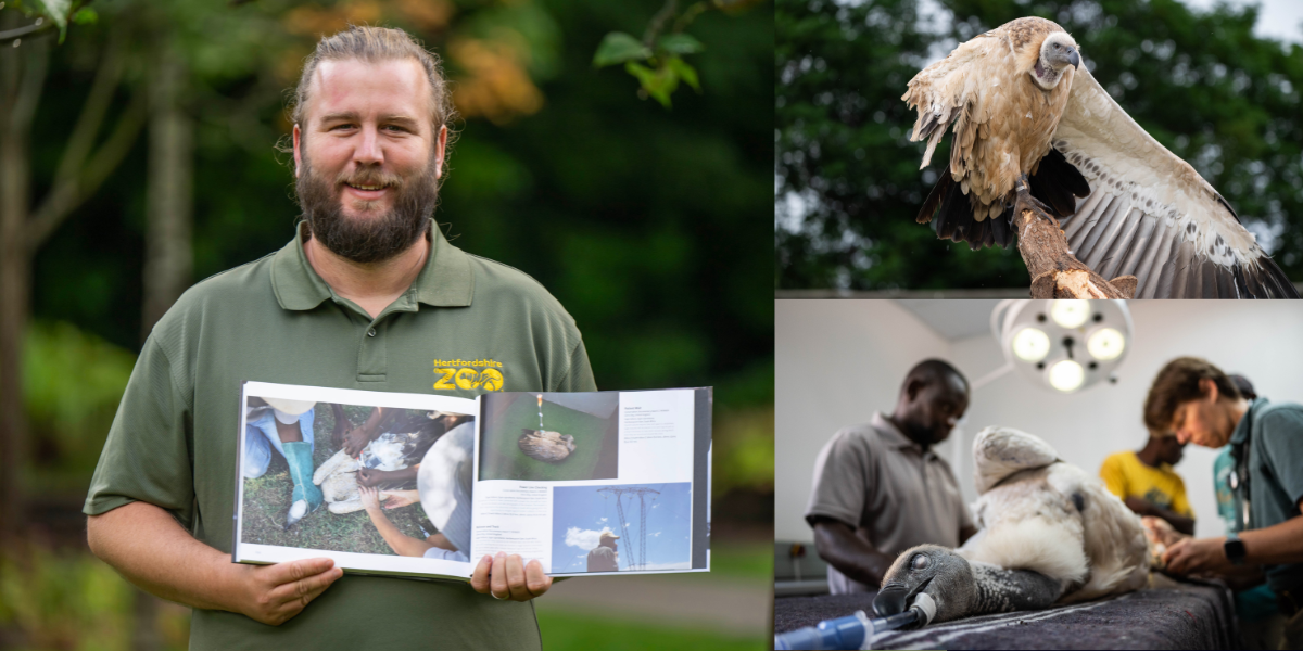 Hertfordshire Zoo's Education Lead, Chris Eley, wins Bird Photographer ...
