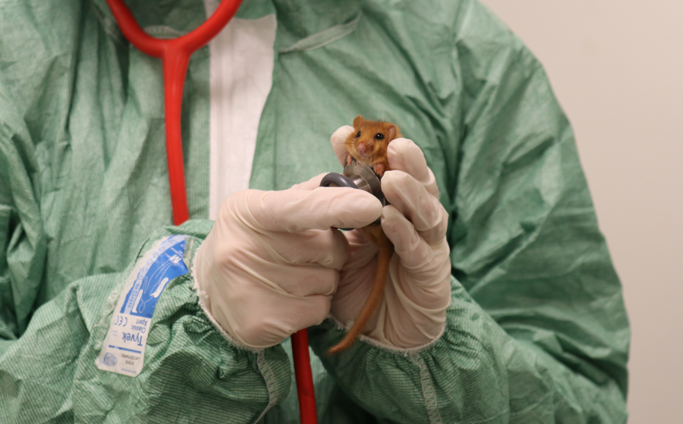 ZSL - London Zoo | BIAZA