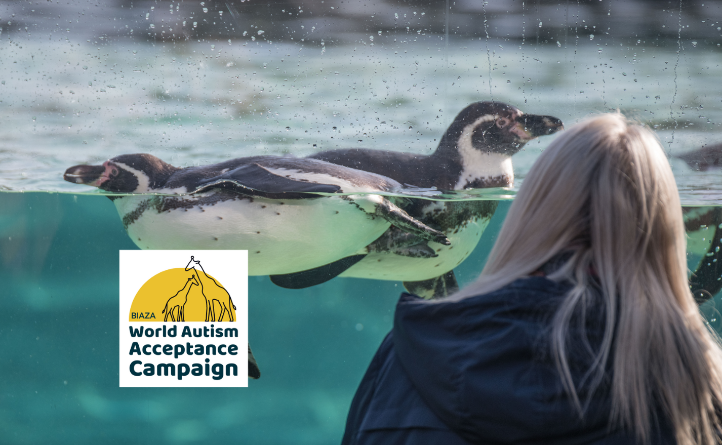 Blog: AccessAble - online accessibility information for venues | BIAZA