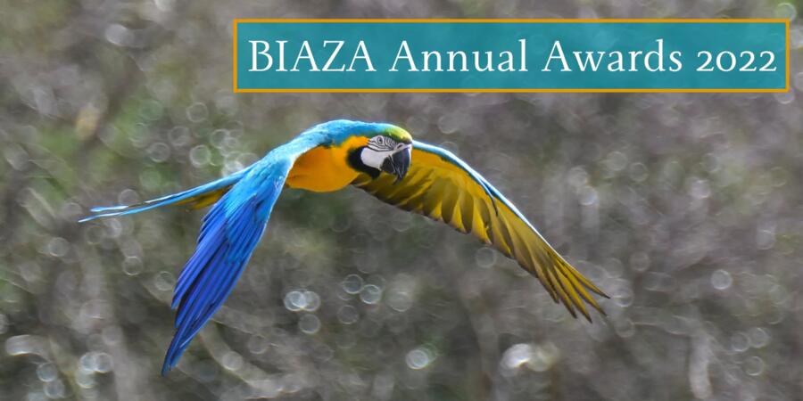 The BIAZA Annual Awards 2022 - The Full List of Winners | BIAZA
