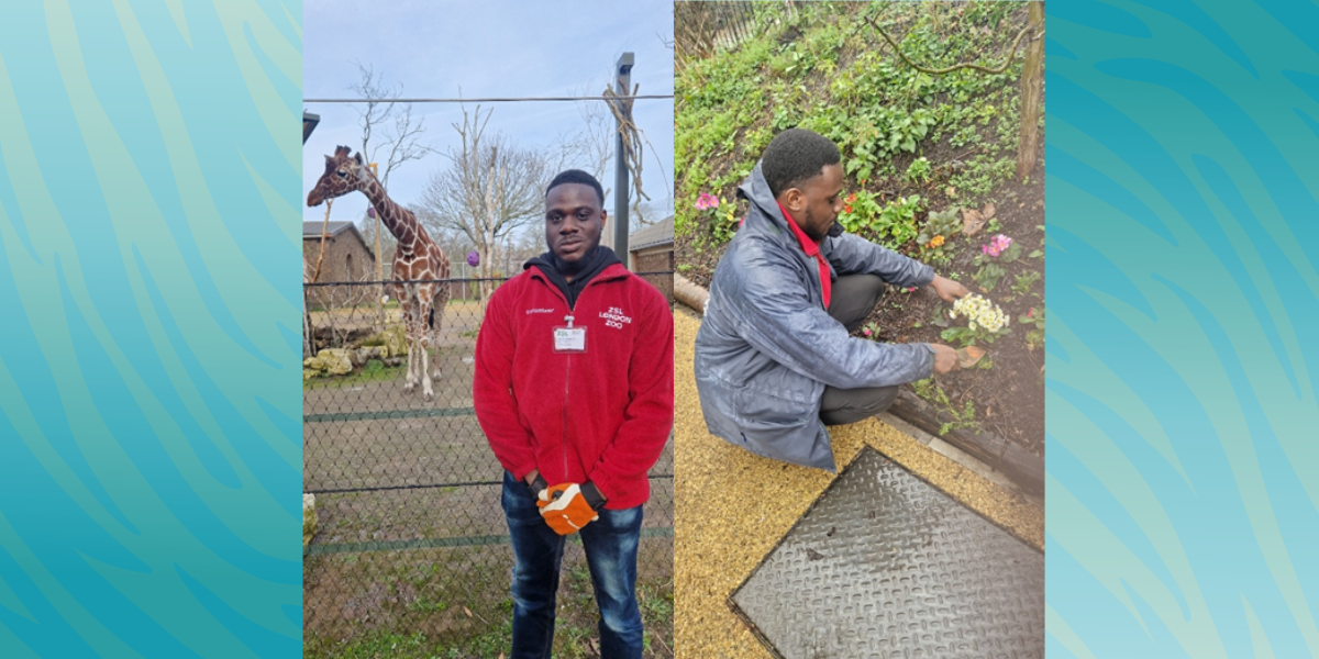 Autism Acceptance Blog: Emmanuel’s journey with us | BIAZA