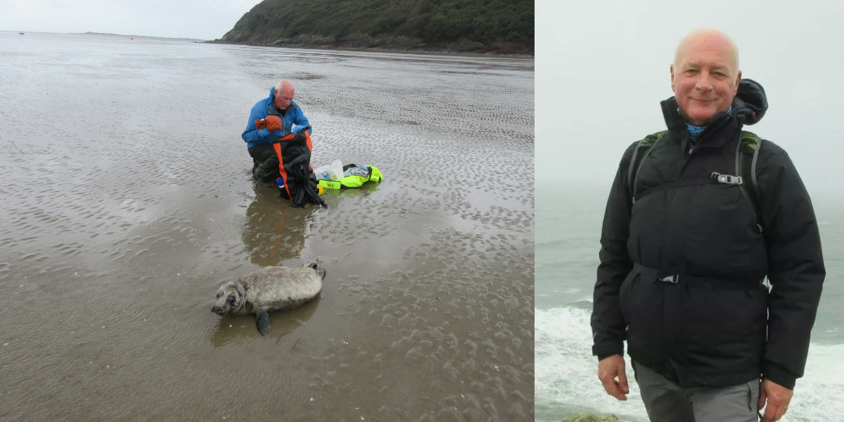 Seal Release Blog: ‘Good Luck Little One – That Final Step' | BIAZA