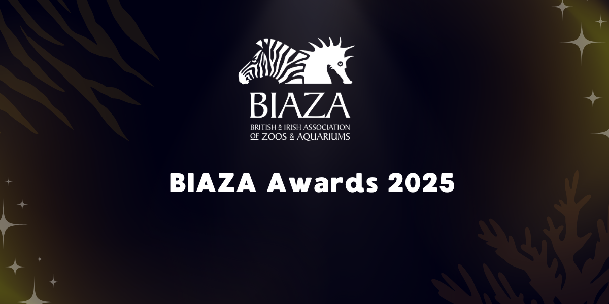 BIAZA Awards 2025 - The Winners! | BIAZA
