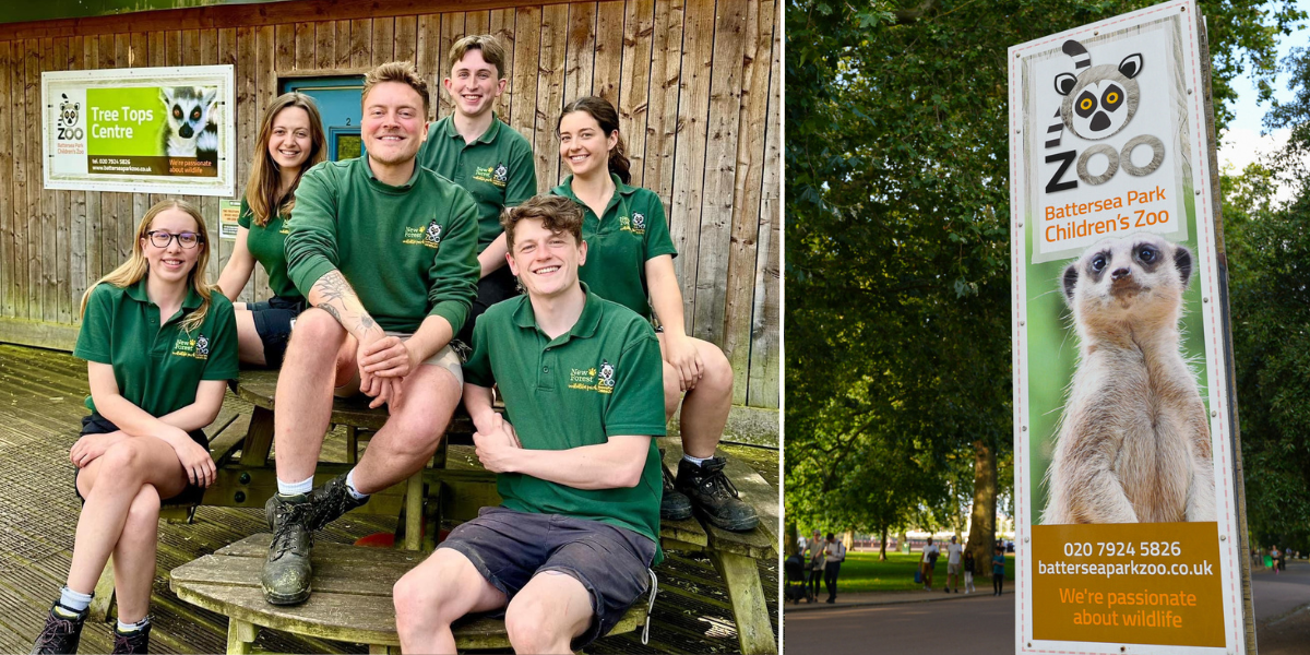 Battersea Park Children's Zoo celebrates 20 years with the launch of ...