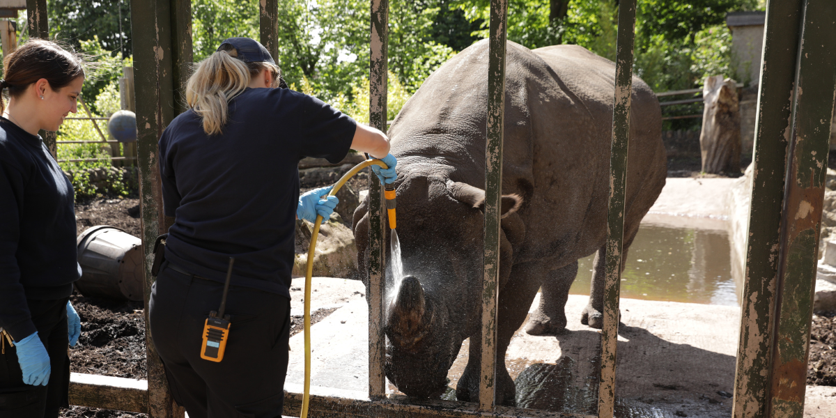 Zoos urge Defra to tackle red tape preventing rare animal transfers | BIAZA