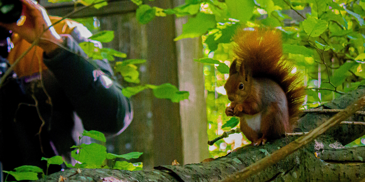 Blog: A call to arms (or paws!) - Raising the profile of the ...