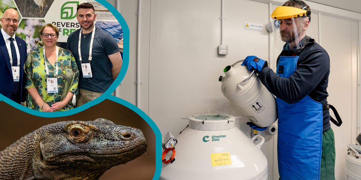 Chester Zoo has joined two other major zoos to found and forge a ...