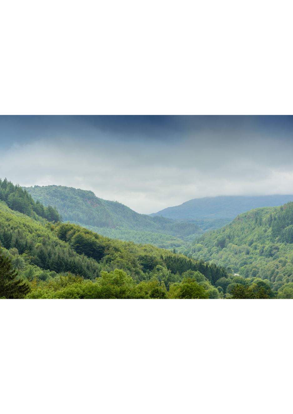 Blog: Free trees fighting climate change at Folly Farm | BIAZA