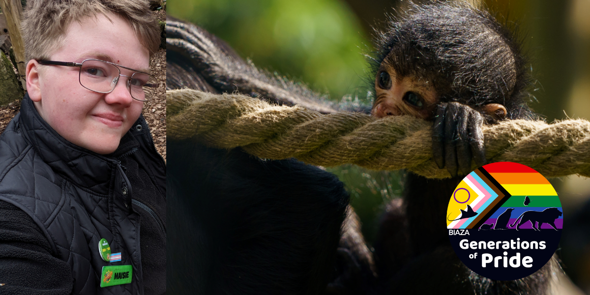 Pride: Lived Experience as a Non-Binary Person in the World of Zoos | BIAZA