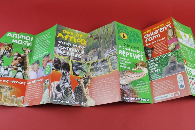 Our work for Dublin Zoo | BIAZA