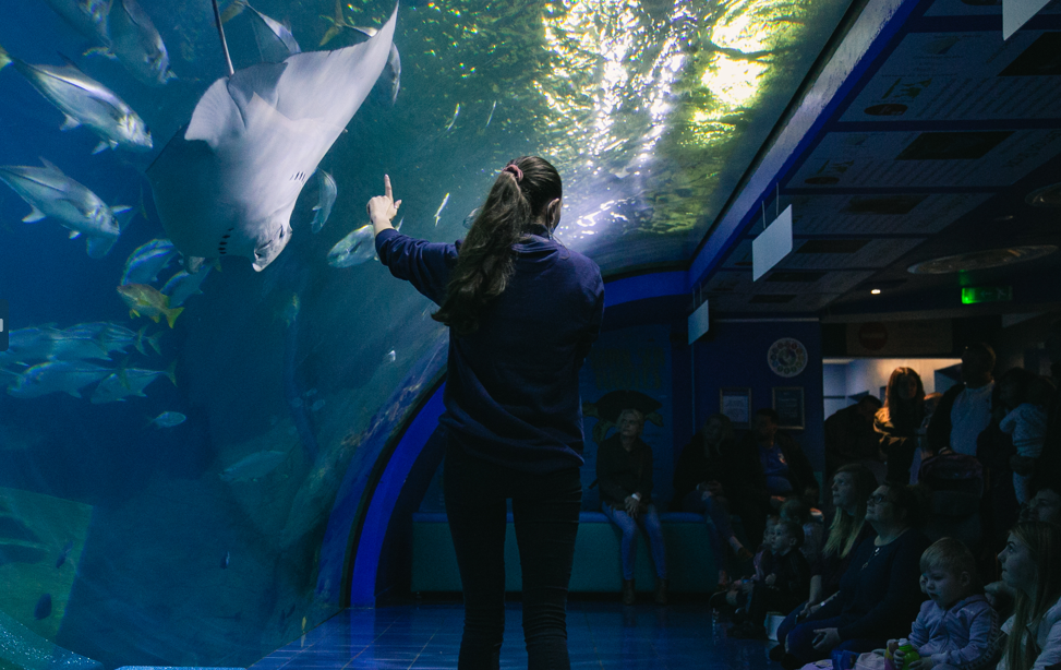 Blog: The Importance of Aquariums for Education and Ocean Literacy. | BIAZA