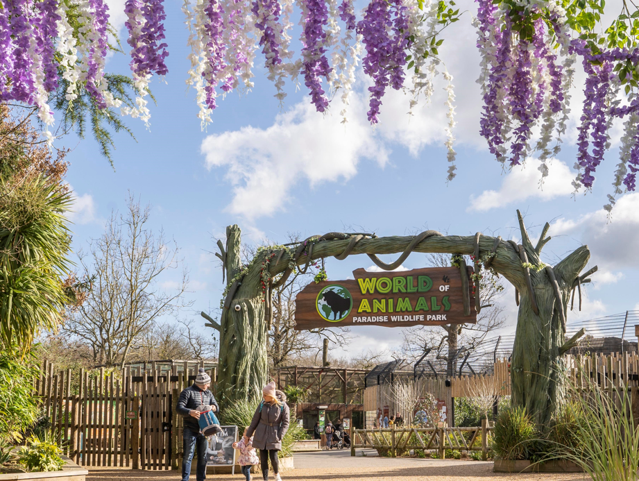 BIAZA - British and Irish Association of Zoos and Aquariums | BIAZA