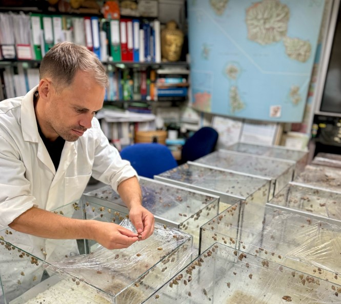 Over 6,000 ‘extinct’ snails return to the wild, with a re-established ...