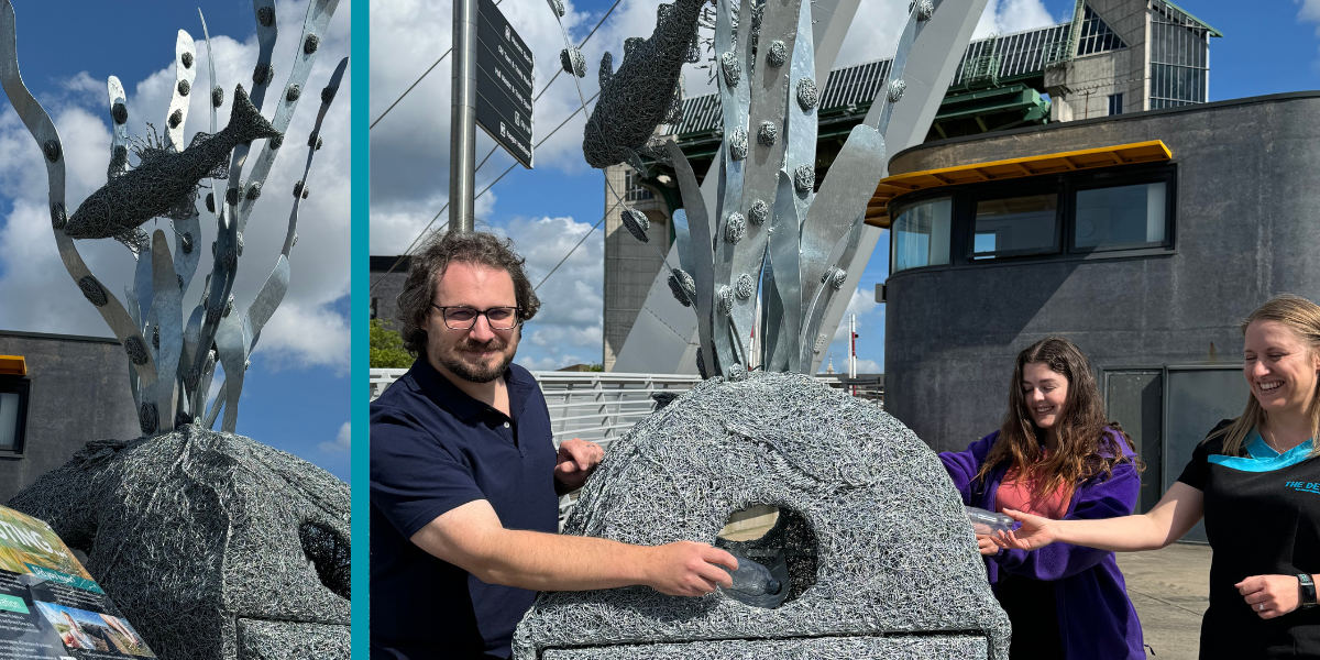 The Deep unveils new seagrass sculpture funded by wilder Humber | BIAZA