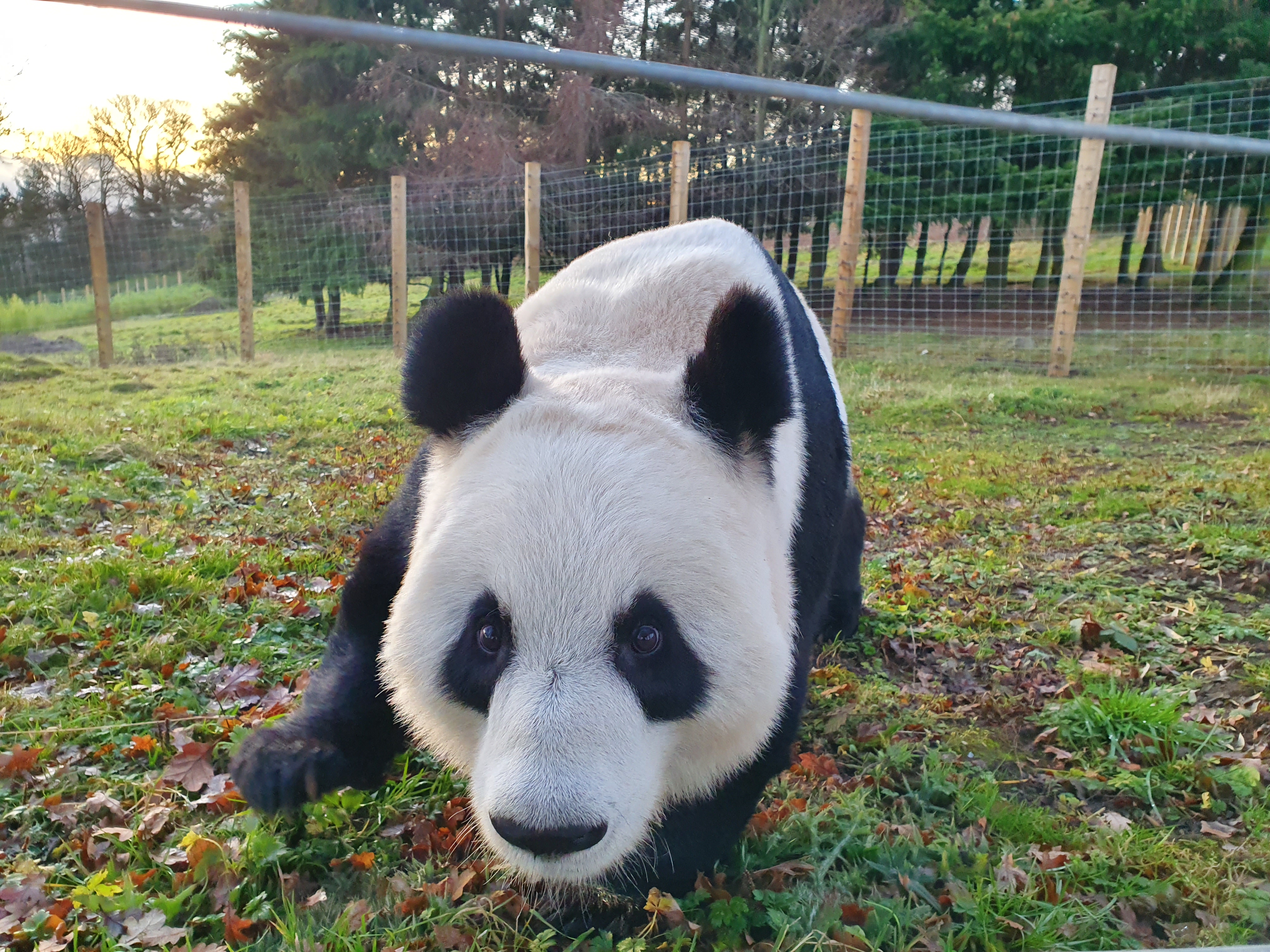 Hope for Scotland's Zoos and Aquariums | BIAZA