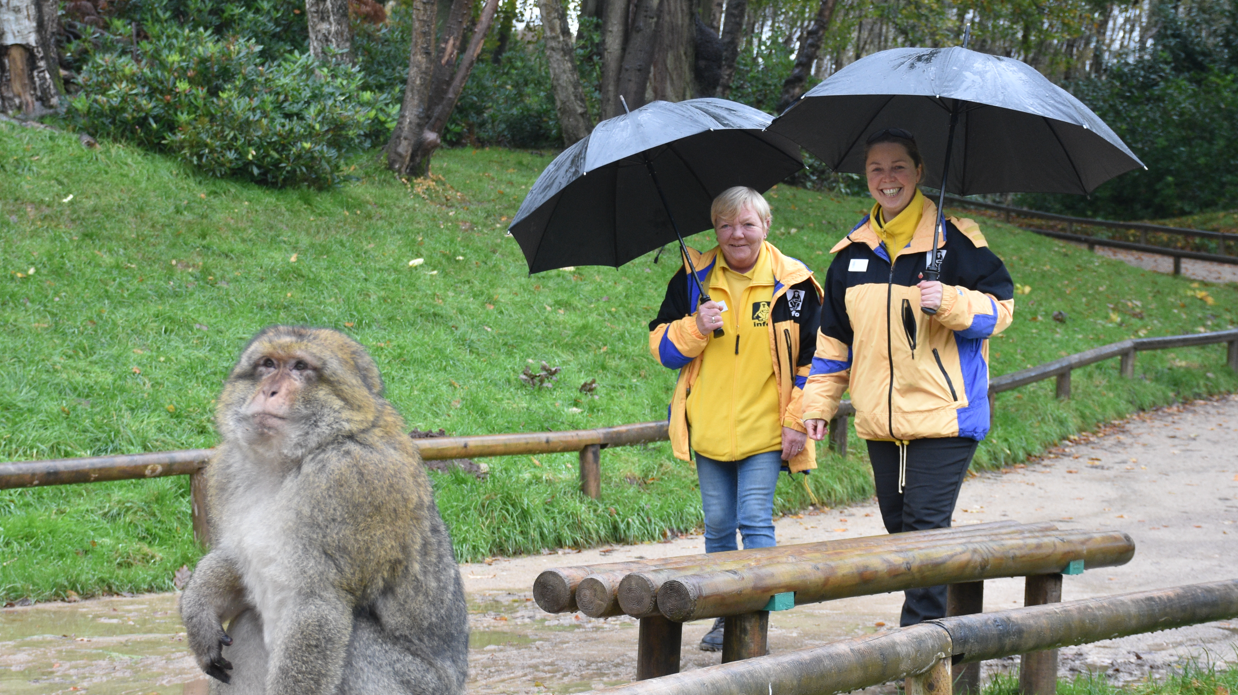 Blog: Match Made in Monkey Heaven - Anna Smith & Diane Floyd | BIAZA