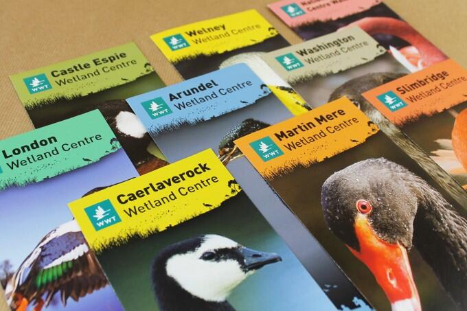 Visitor Maps, DL Leaflets, Adoption Packs & More: Our work for WWT | BIAZA