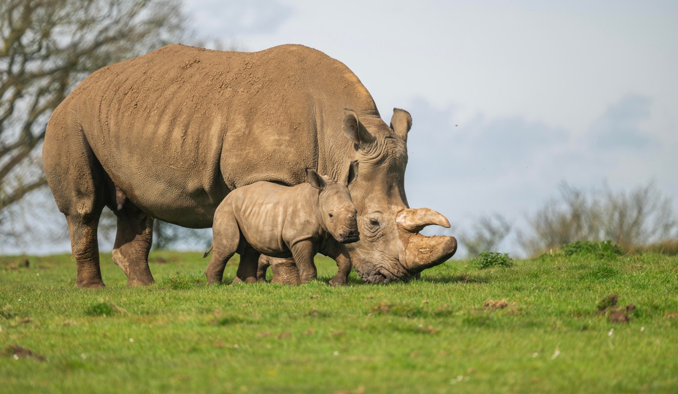 Charity welcomes biggest changes in zoo regulations in decades | BIAZA