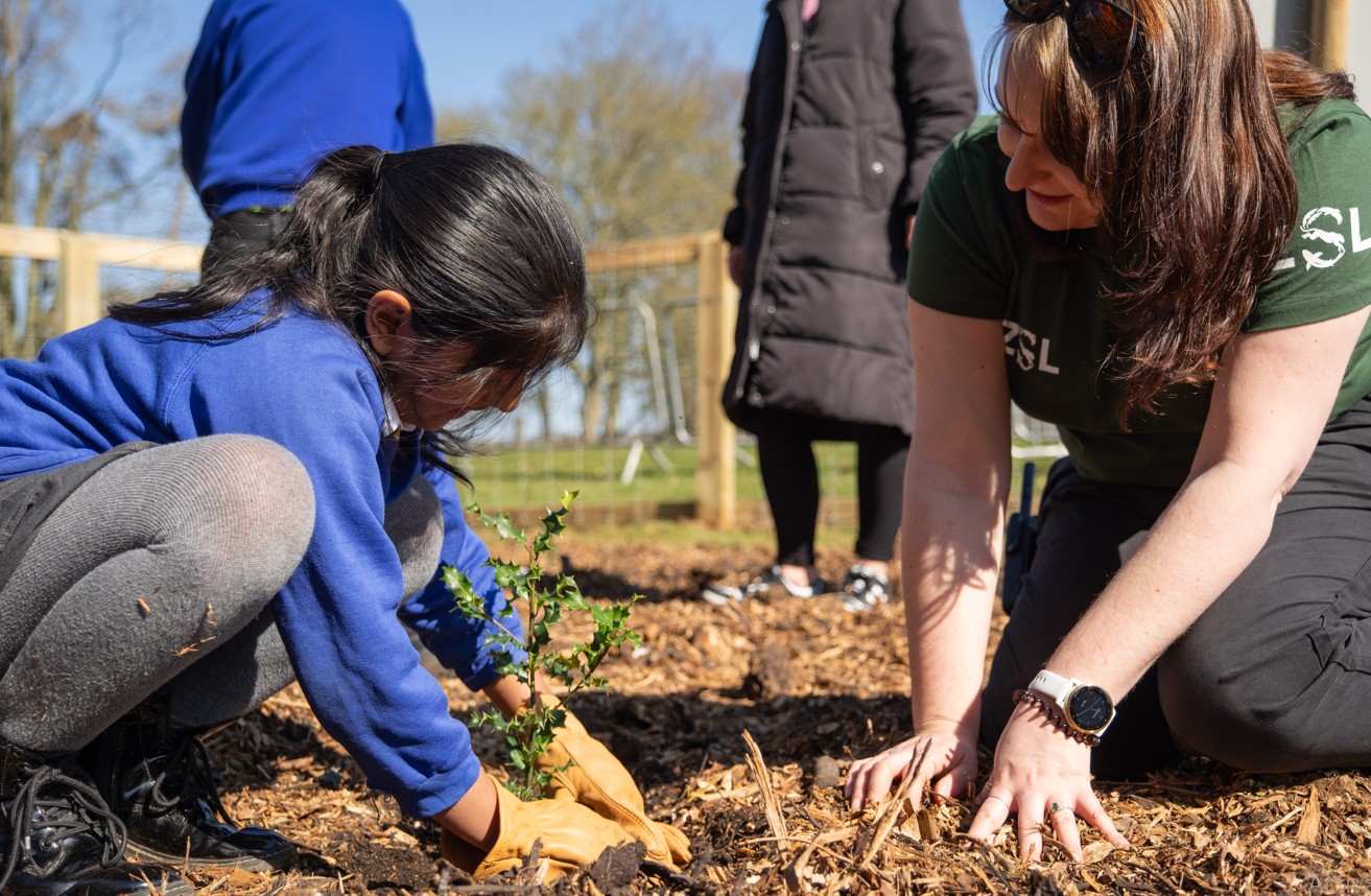 UK’s largest zoo plants Tiny Forest | BIAZA