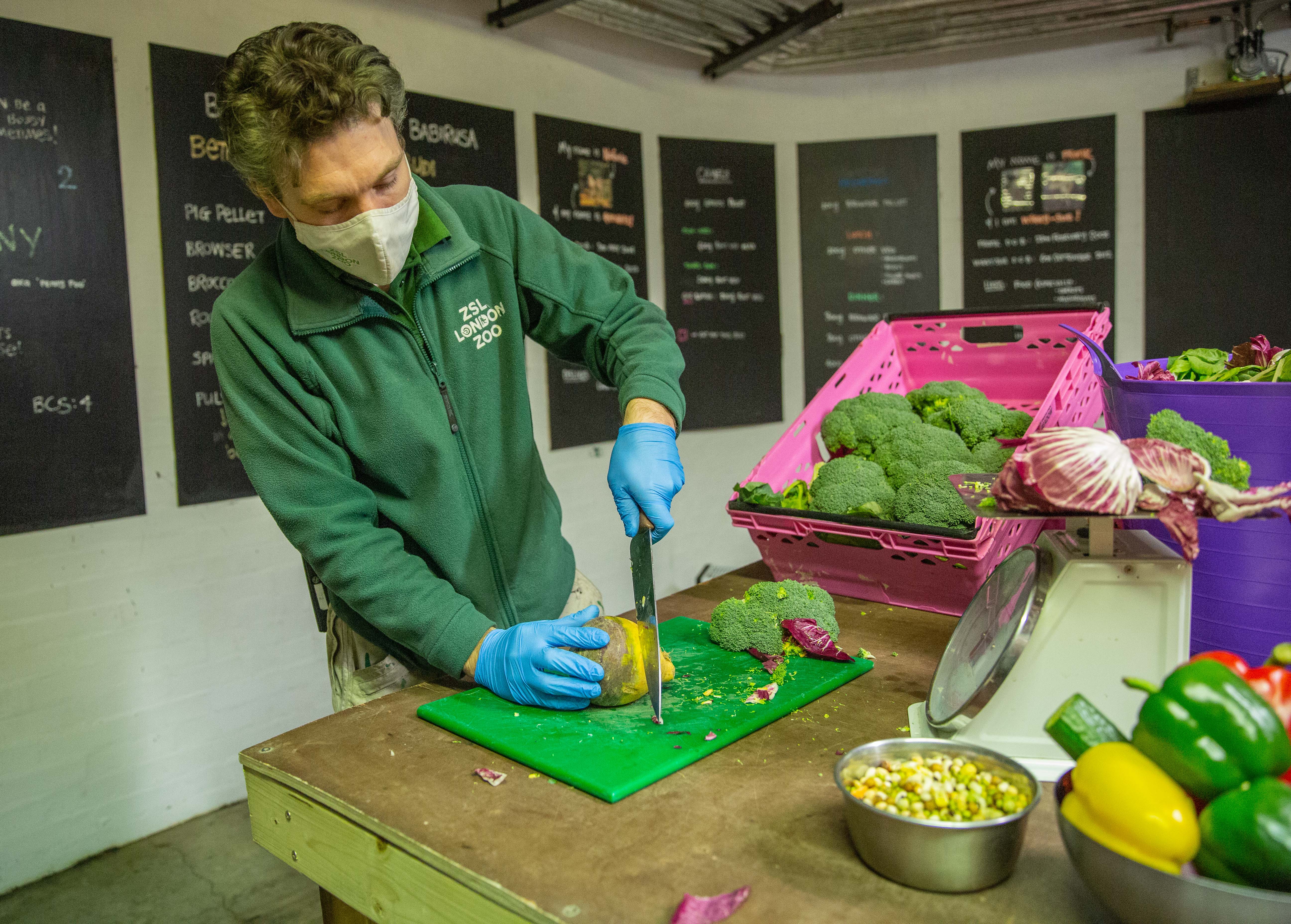Blog: why zoo animal nutrition is still so important | BIAZA
