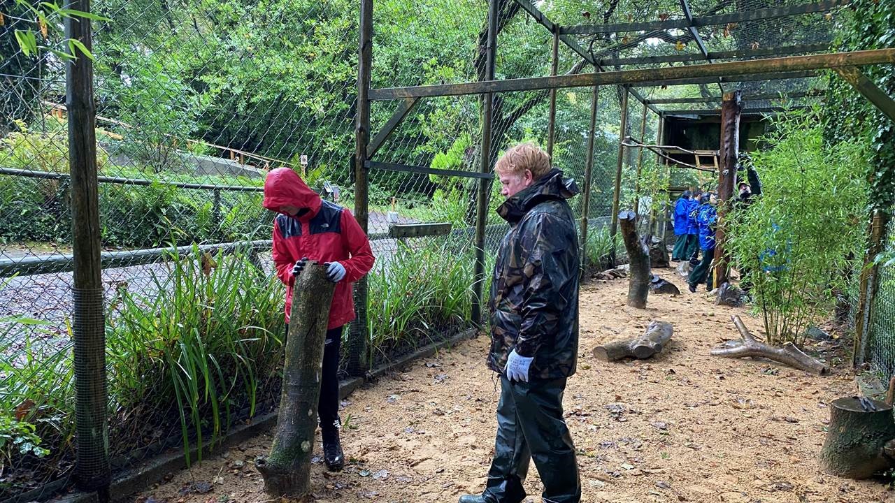Blog: We Built a Zoo - Dartmoor Zoo's Superkids Project | BIAZA