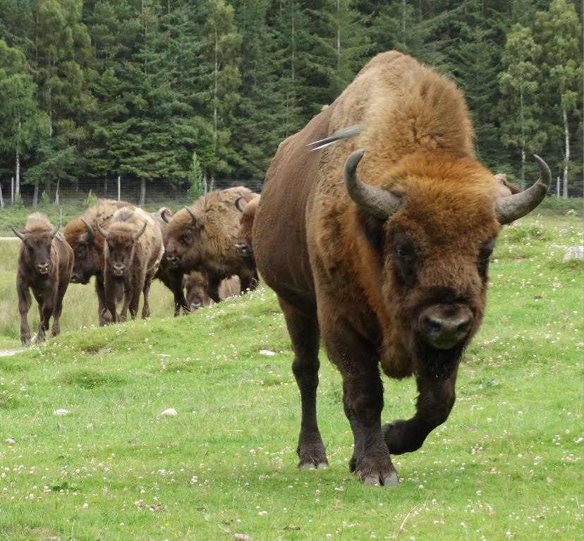 BIAZA - British and Irish Association of Zoos and Aquariums | BIAZA