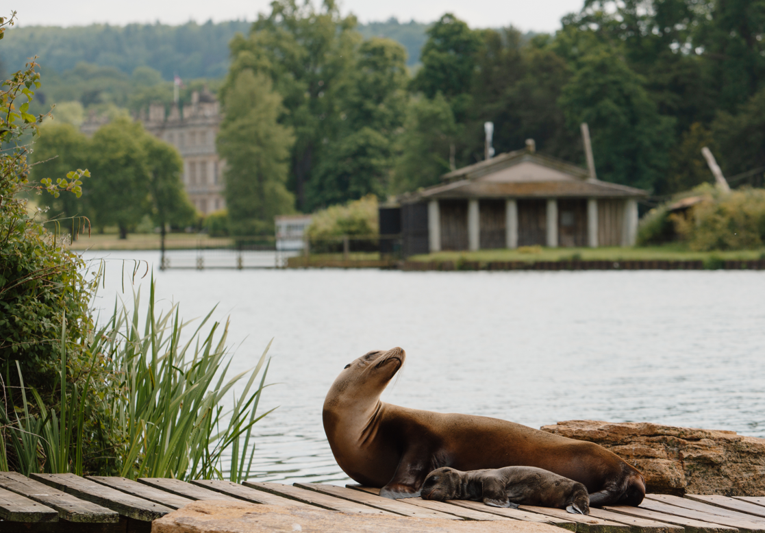 Longleat | BIAZA
