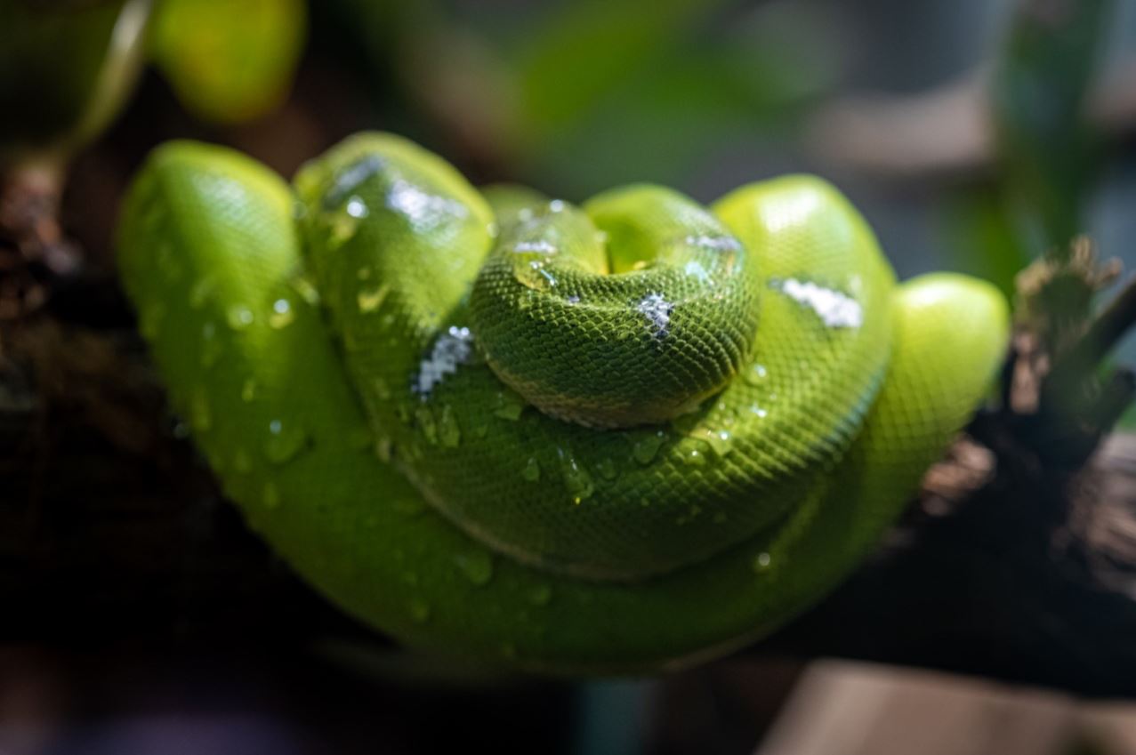 BIAZA - British and Irish Association of Zoos and Aquariums | BIAZA