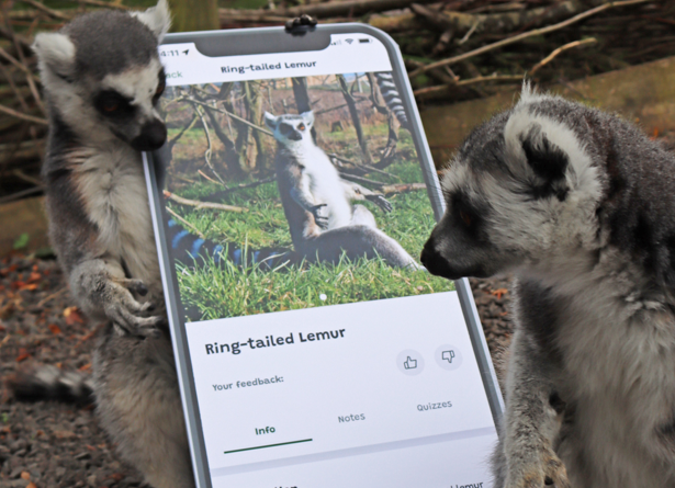 Blog: new zoo management software and app - a game changer for the ...