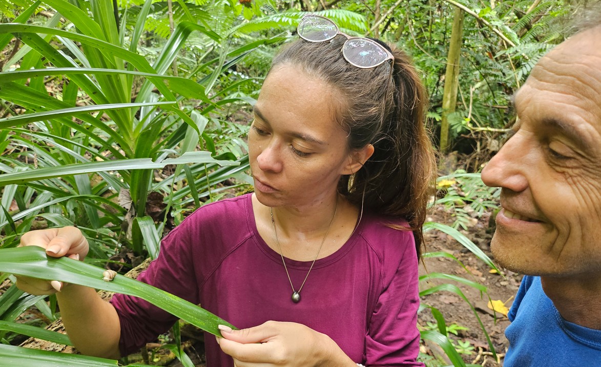 Once thought lost, a rare snail returns | BIAZA