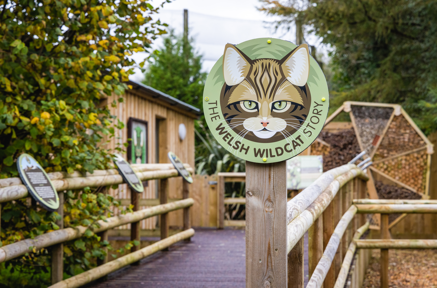 Folly Farm opens new native species enclosure to raise awareness of ...