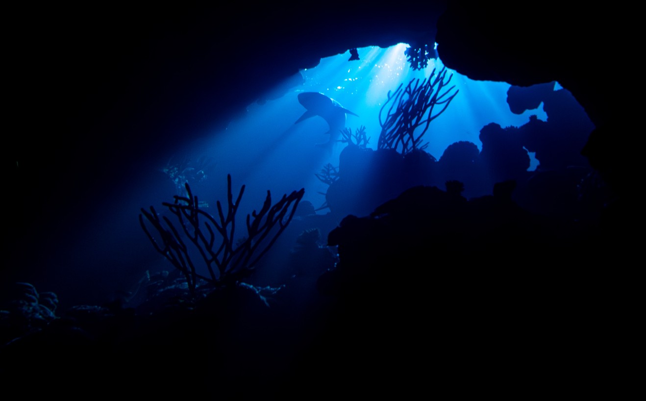 BIAZA Photo Competition 2025 - the winners! | BIAZA