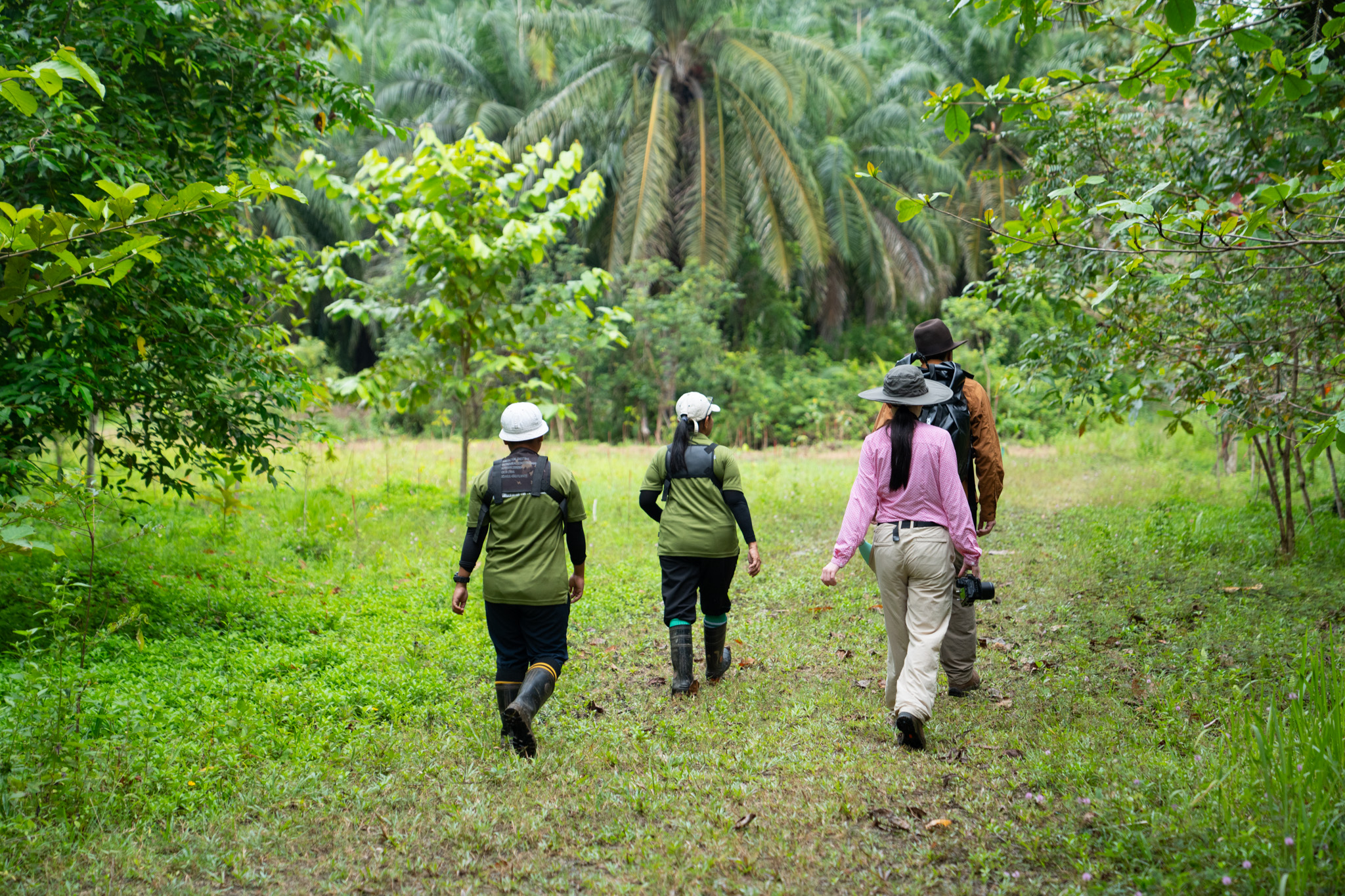 Reforesting Borneo: Partnerships and Collaboration | BIAZA