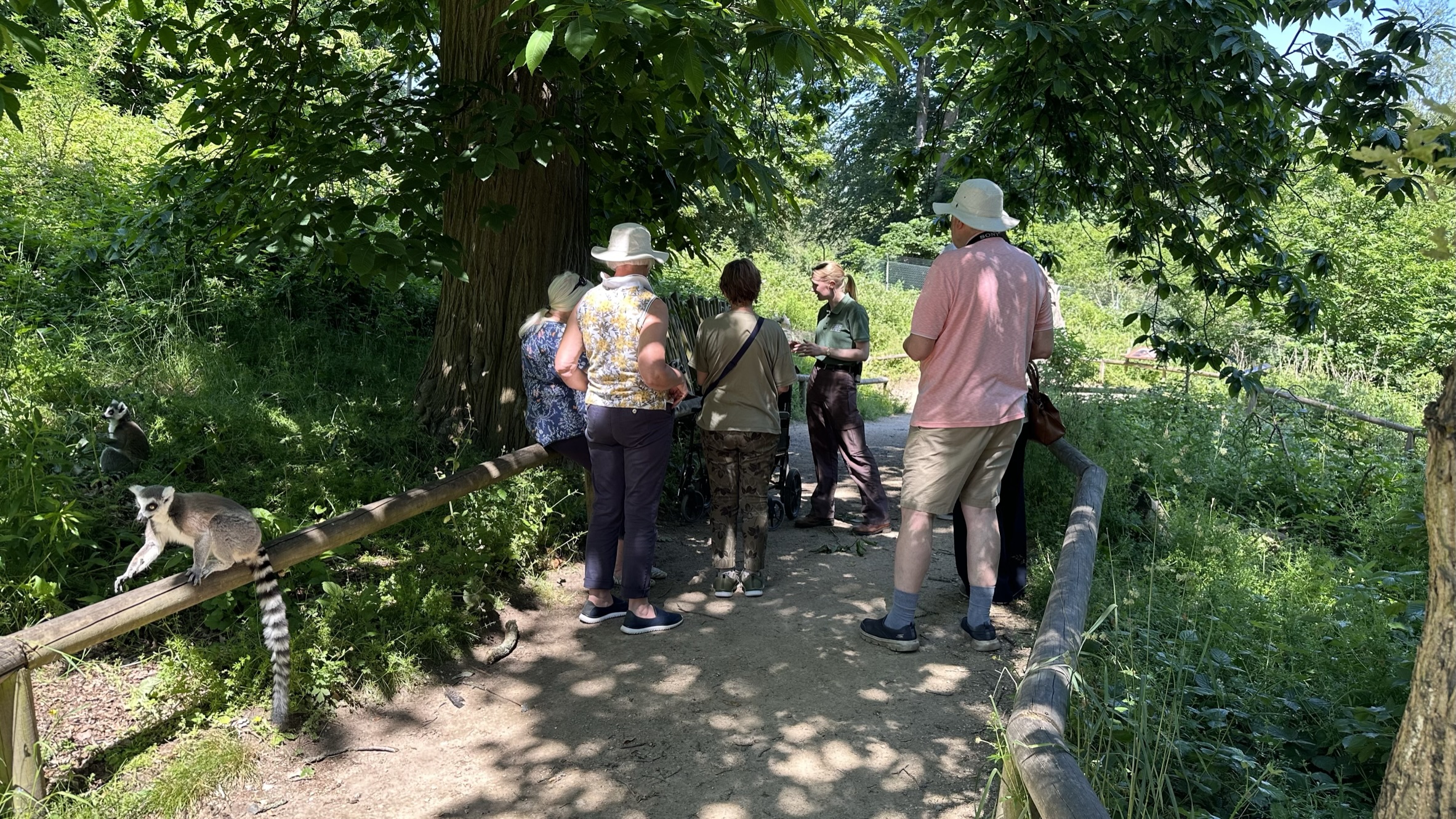 The Amateur Zoologist Club: Engaging Lifelong Learners | BIAZA