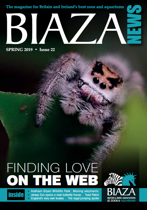 BIAZA - British and Irish Association of Zoos and Aquariums | BIAZA