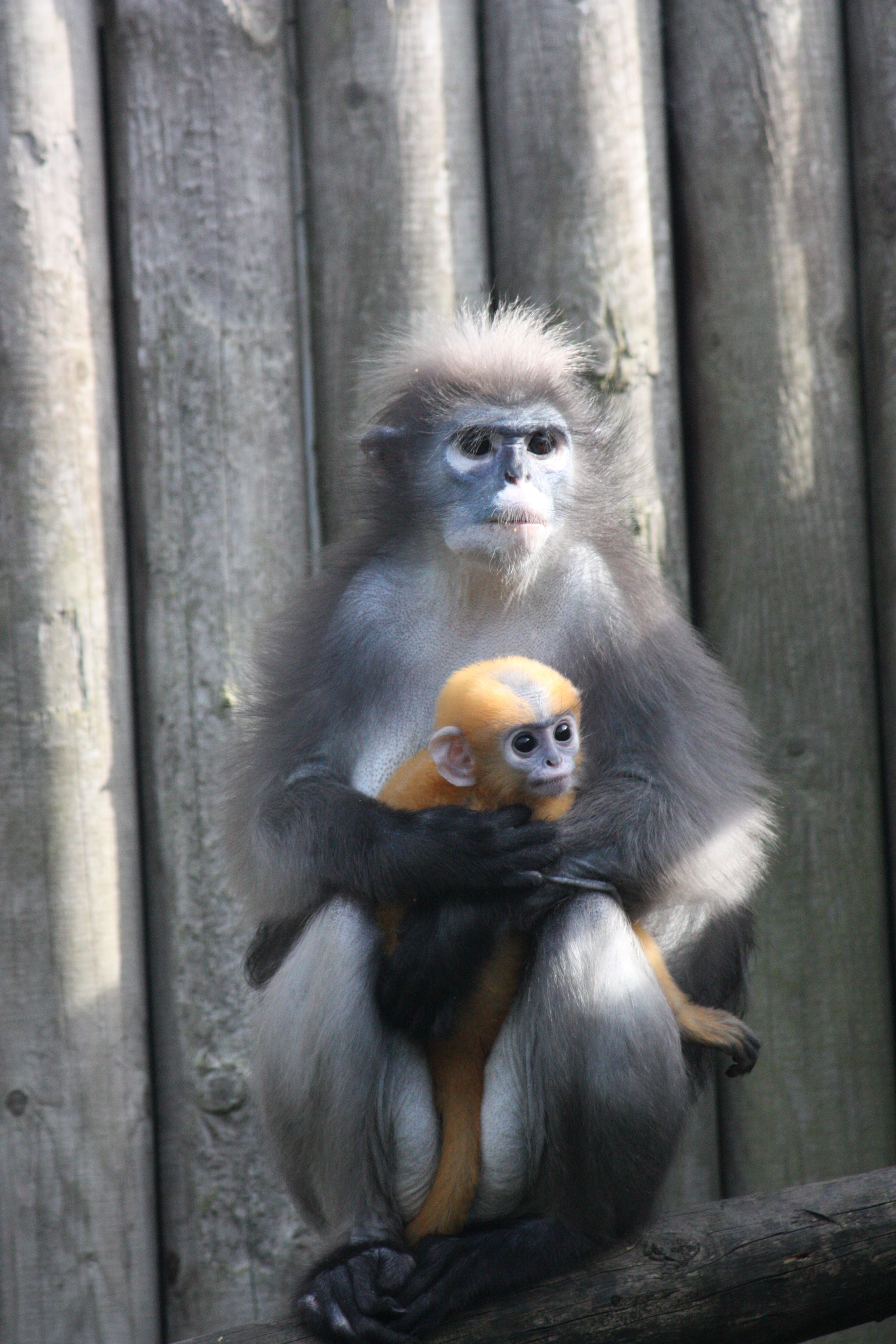 Animal records | BIAZA